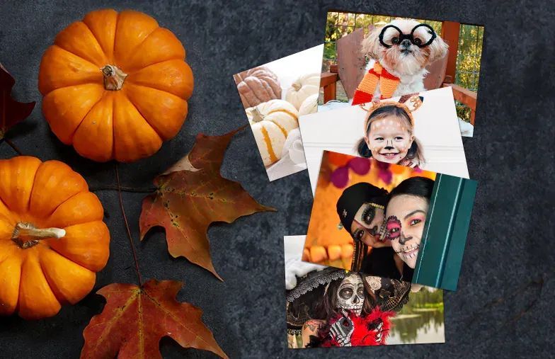 Order Photo Prints Online | Picture Printing | Printerpix